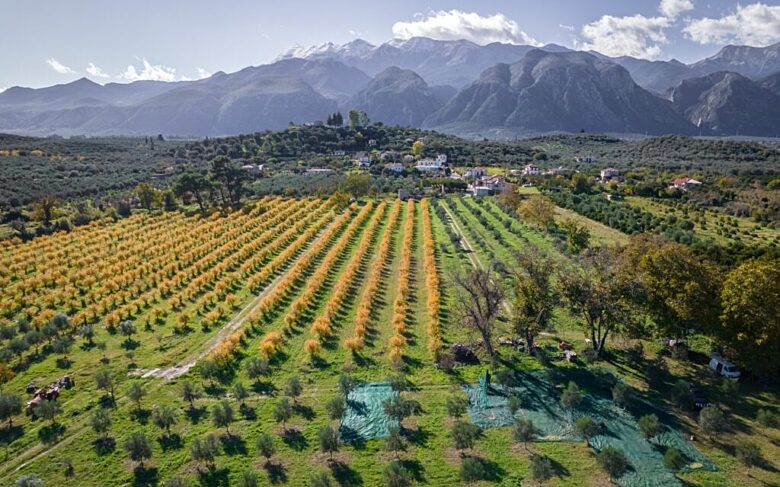 EARA’s Landmark Research Project - EIT Food