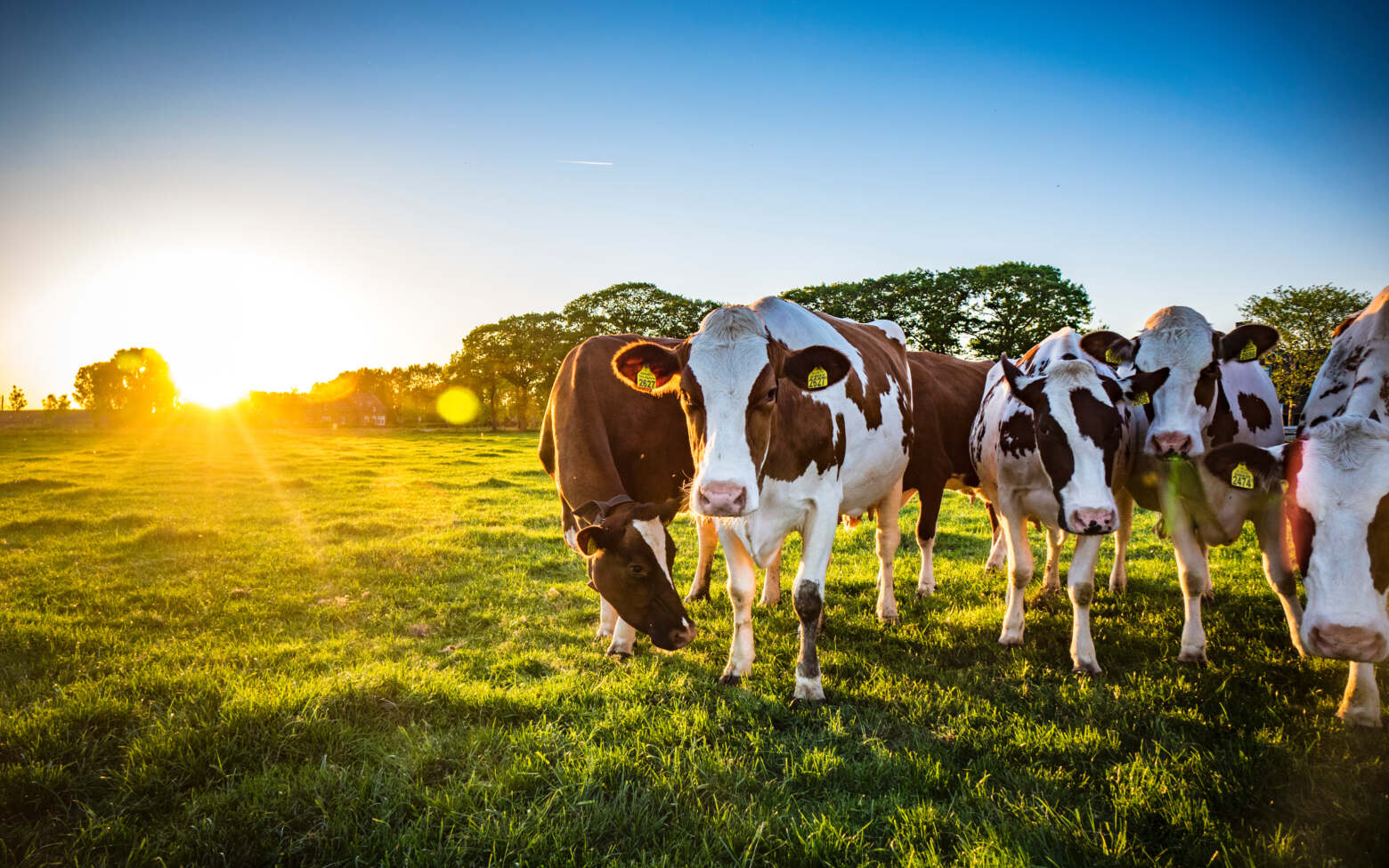 All EIT Food projects - EIT Food