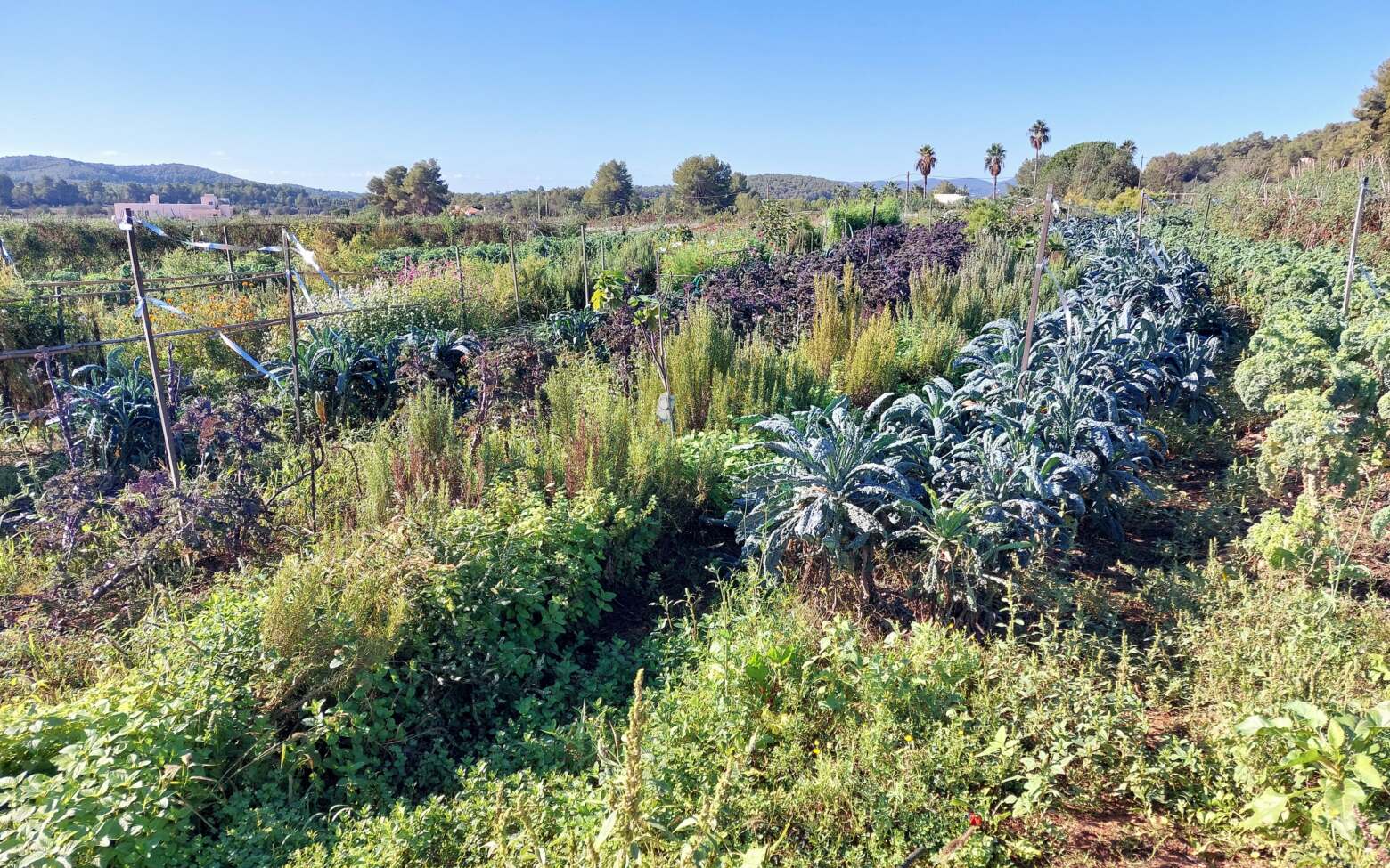 All EIT Food projects - EIT Food