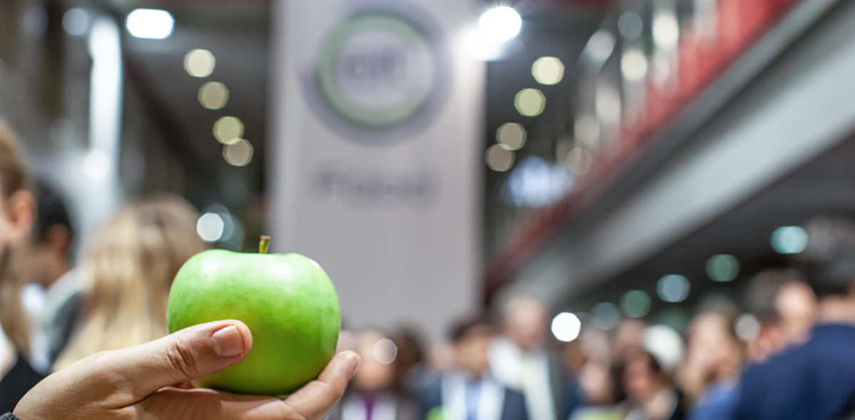 HPHC - Development and application of hydrocolloids functionalised by ...