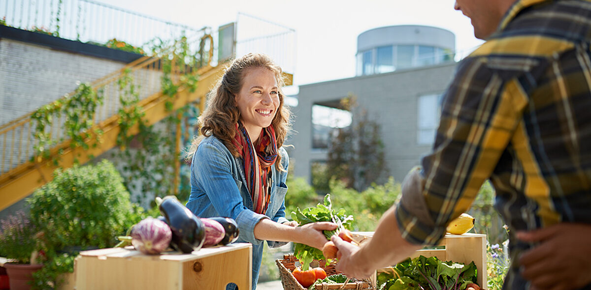 Creating a Sustainable Food System Part 1: Bracing for the journey ...