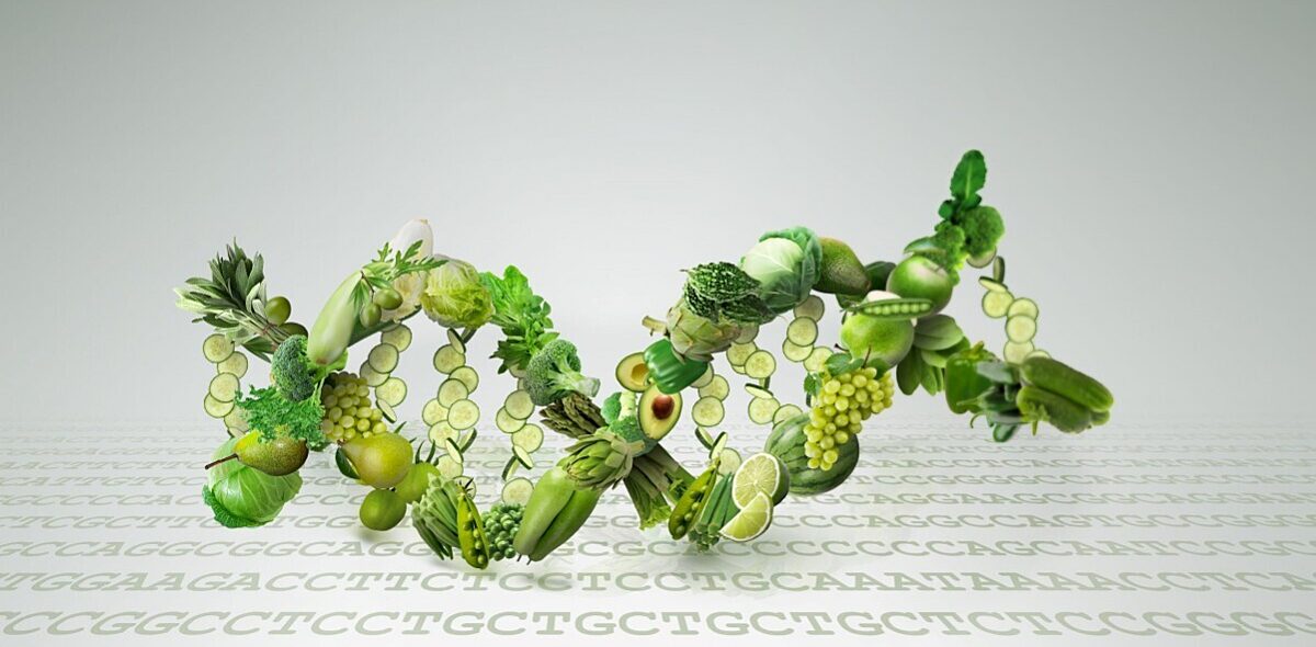 In-house DNA barcoding to fast authentication in complex food samples ...