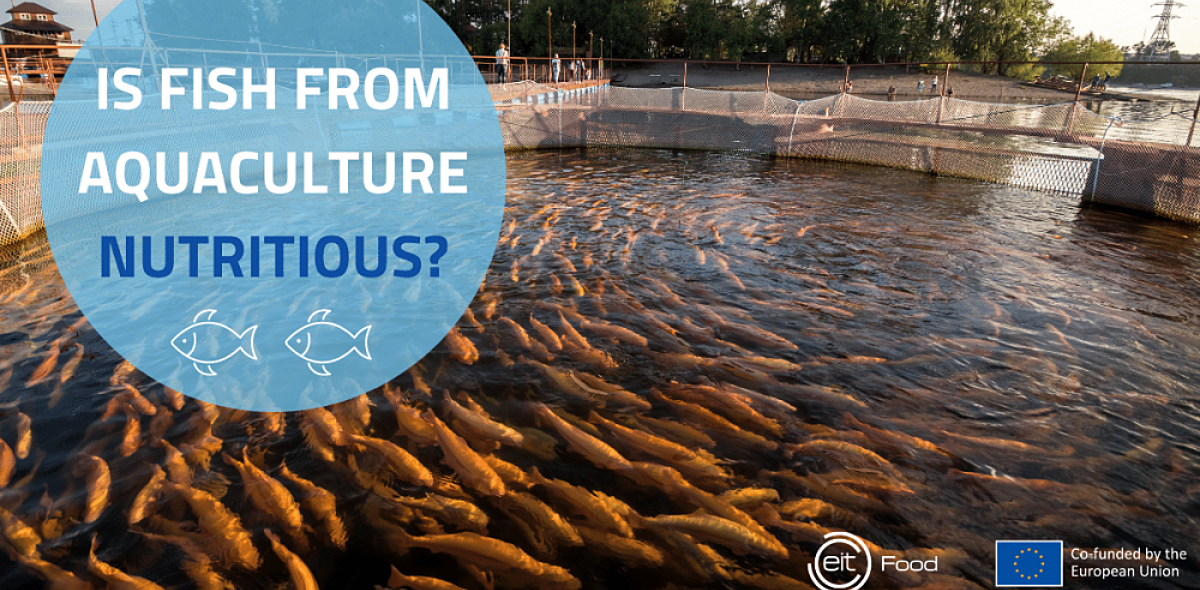 Is farmed fish from aquaculture a healthy source of protein? - EIT Food