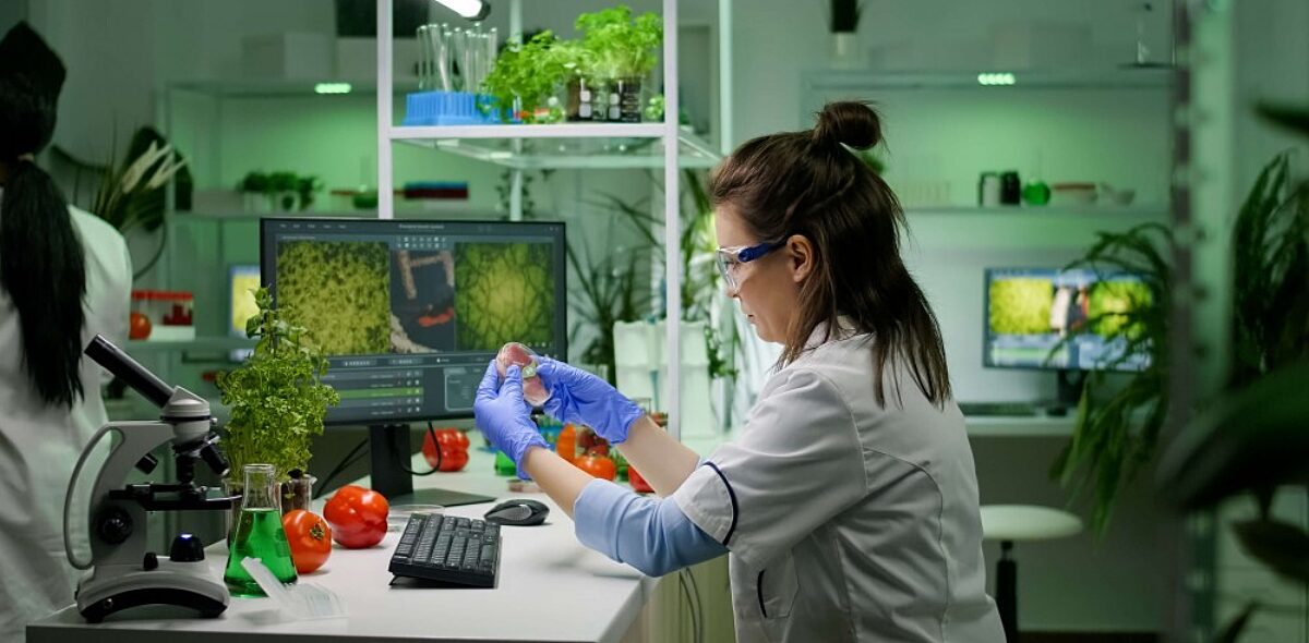 Ingredients of the future: 4 novel foods emerging in Europe - EIT Food