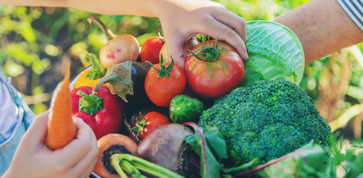 EIT Food startups promote healthy lives through food - EIT Food