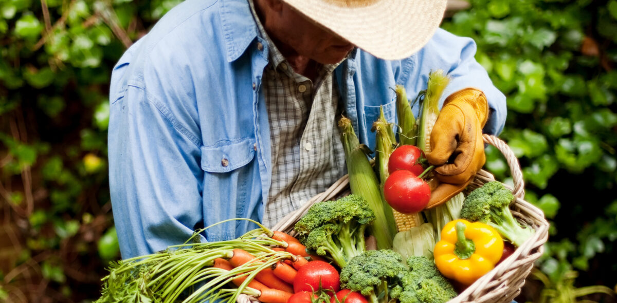 Mending the Agrifood Industry: Our Journey With Food From Past to ...