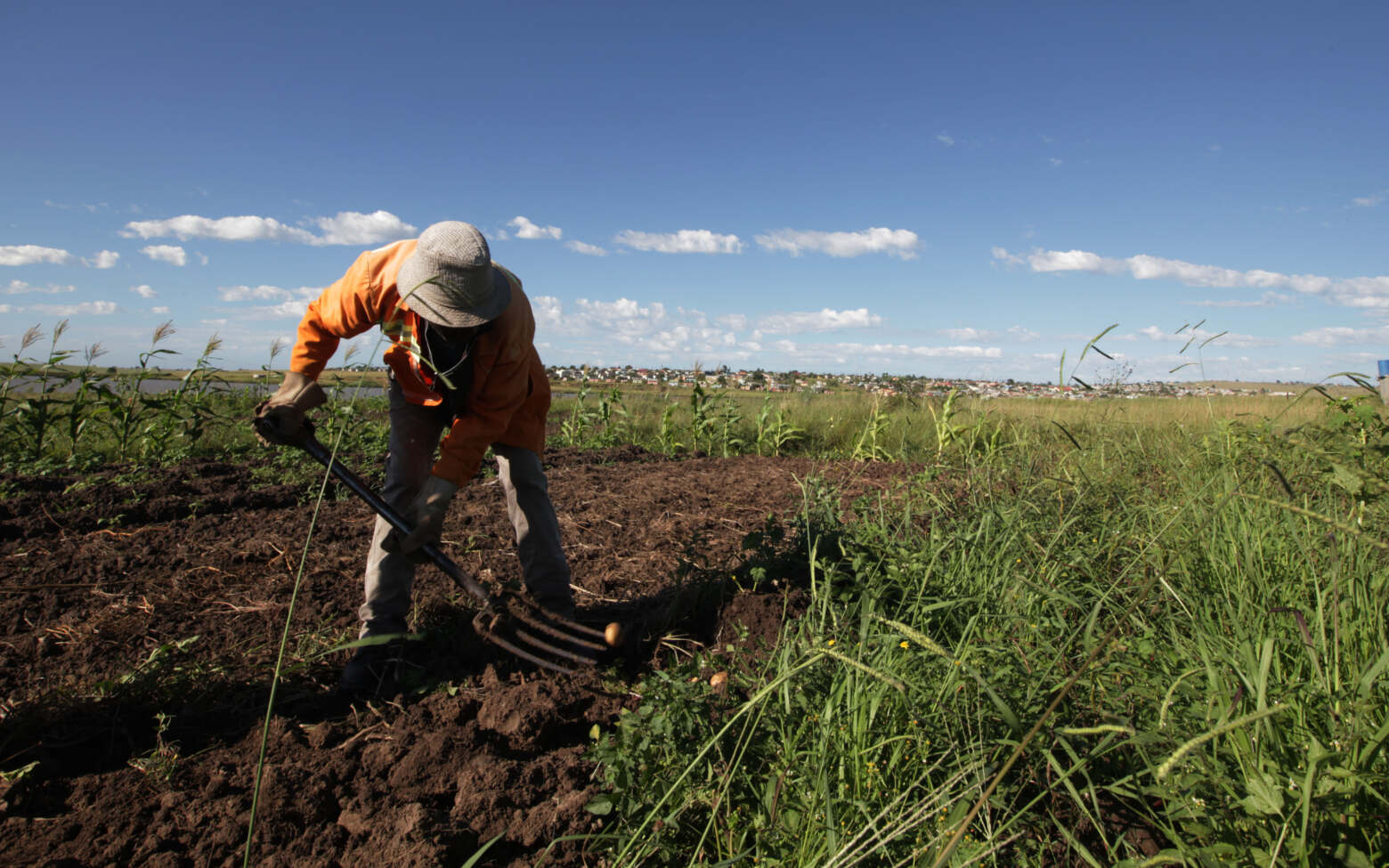 4 ways to tackle food insecurity - EIT Food