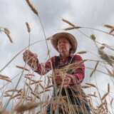 5 ways the food system can mitigate the impacts of climate change - EIT Food