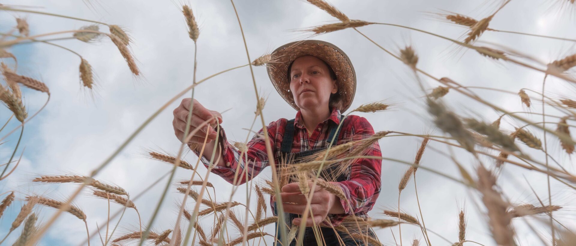 4 ways to tackle food insecurity - EIT Food