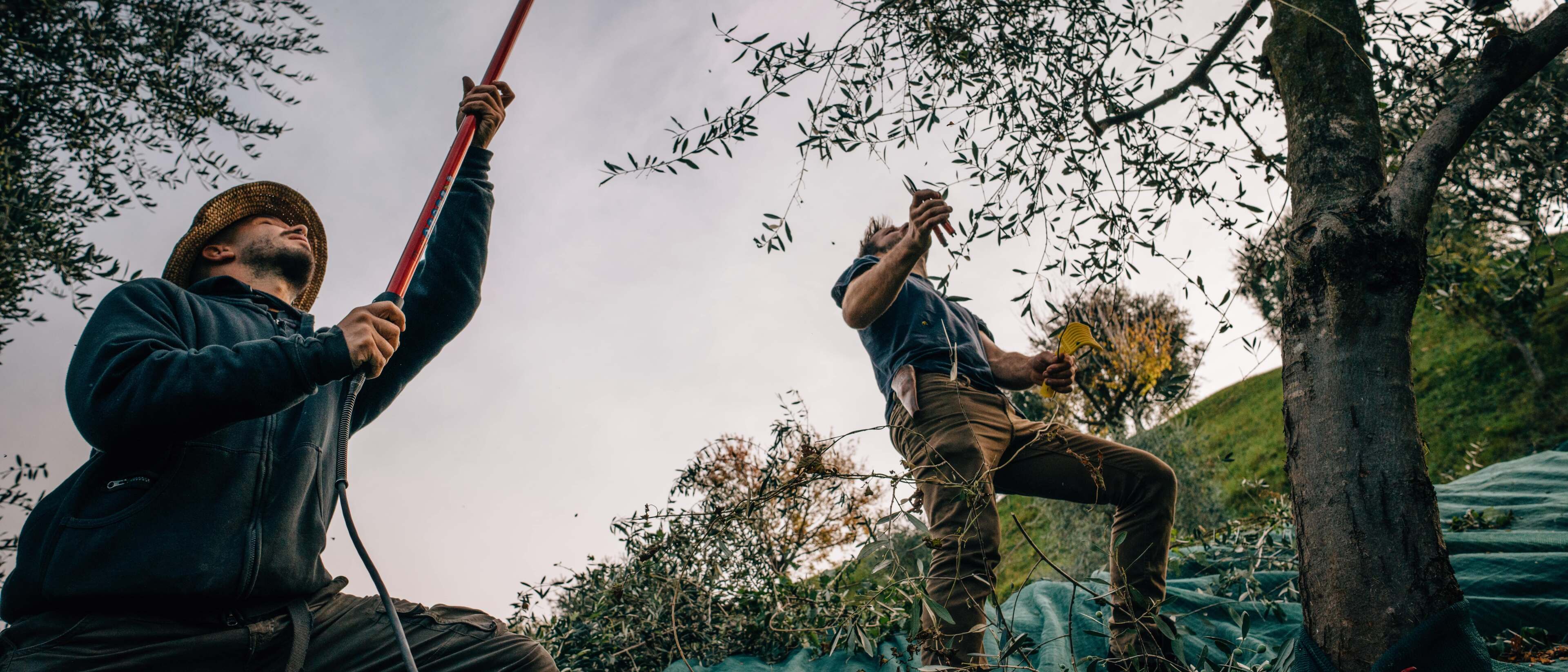 5 ways the food system can mitigate the impacts of climate change - EIT Food