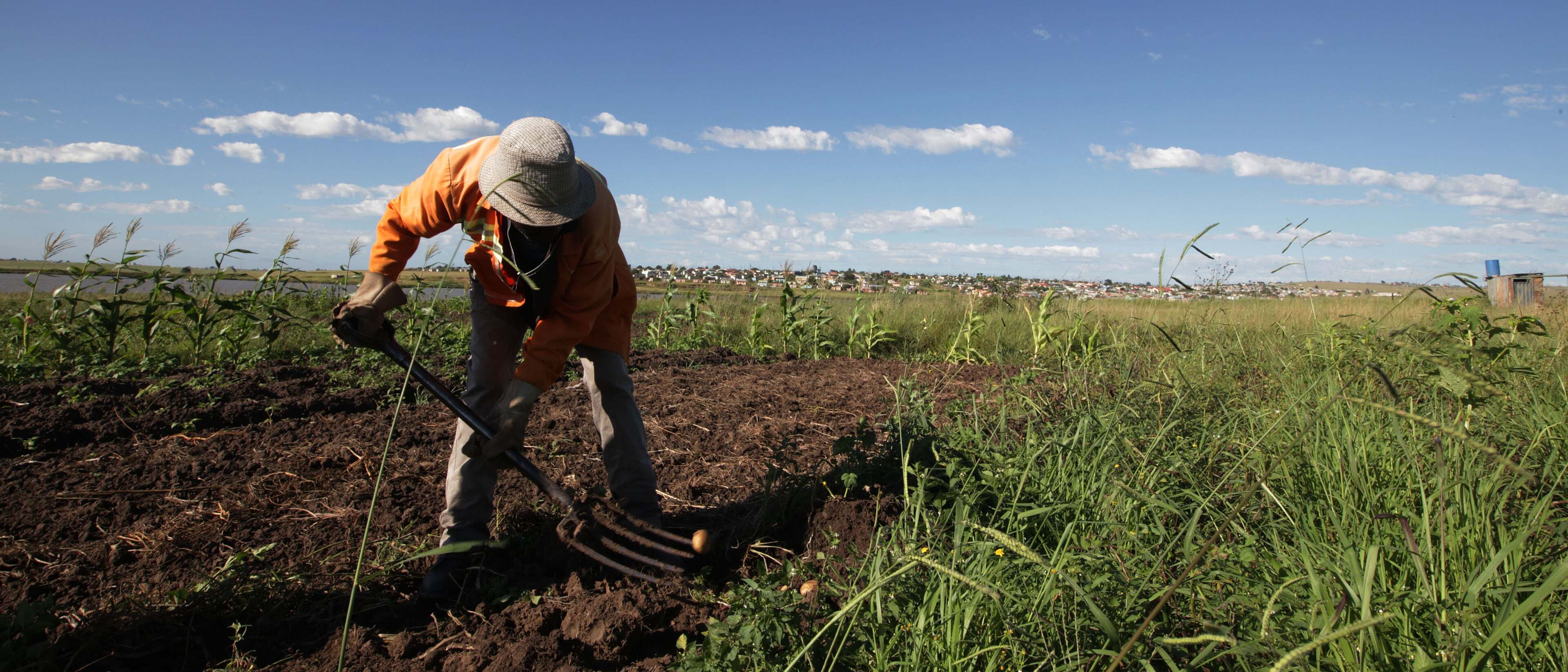 Net Zero Food System - EIT Food