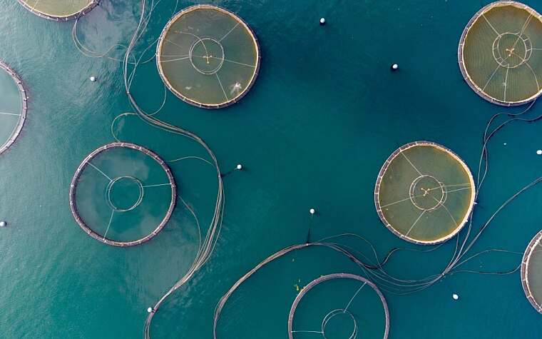 EIT Food celebrates sustainable aquaculture innovations to address UN ...