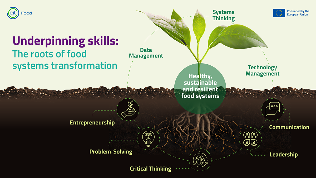 Feeding the future: the crucial role of advancing food industry skills ...