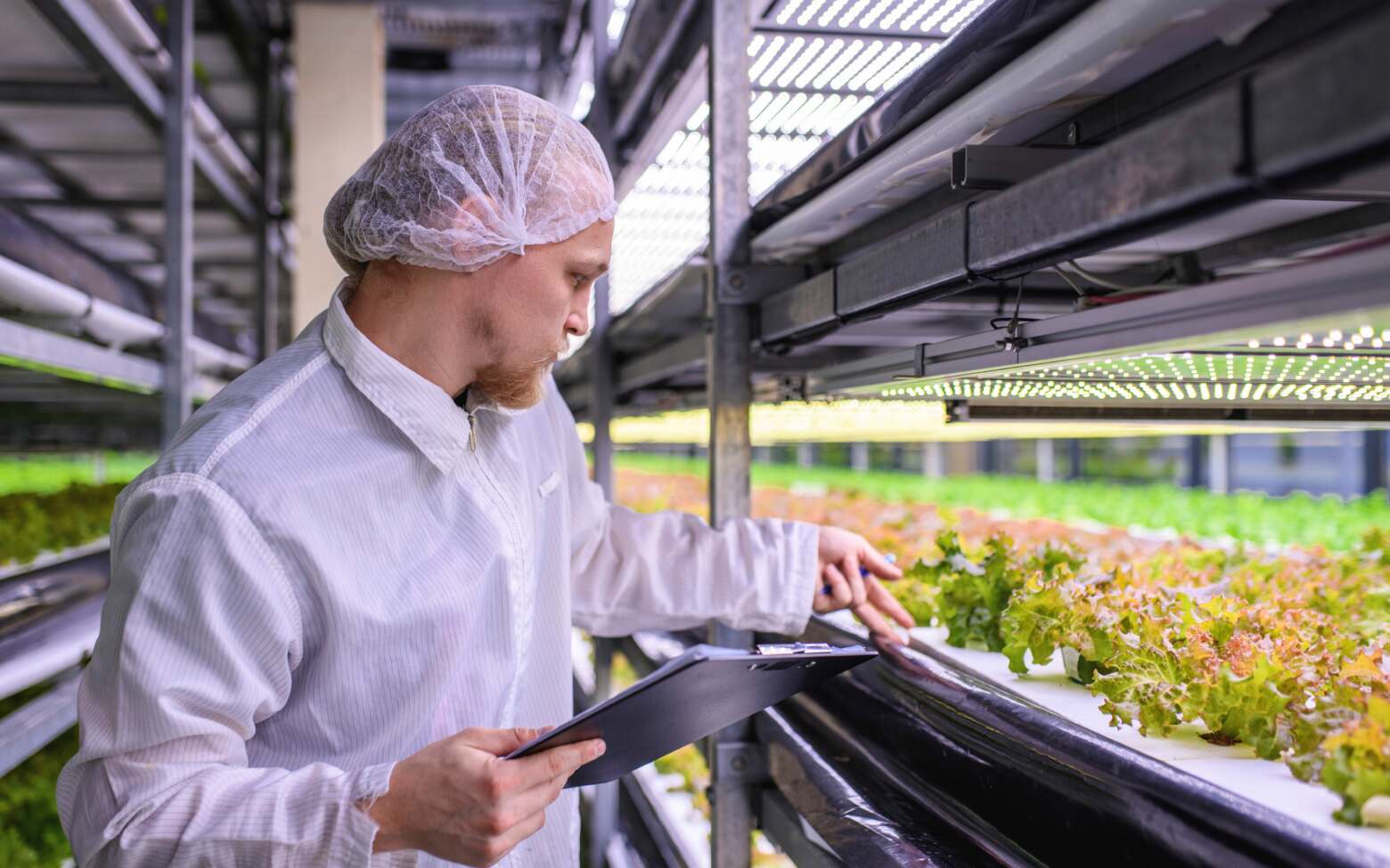 Controlled environment agriculture report by EIT Food - EIT Food