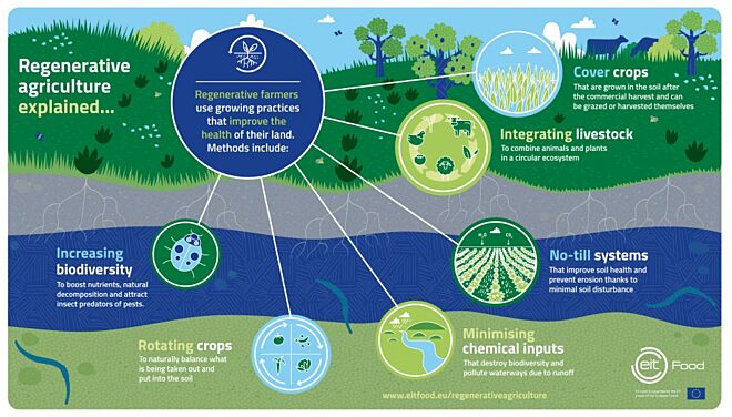 Can regenerative agriculture replace conventional farming? - EIT Food